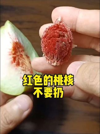 桃核手工制作 闲暇时间学个小手艺