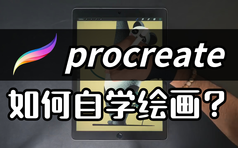 假如我是一个新手,ipad绘画如何自学?procreate插画教程新手入门保姆...