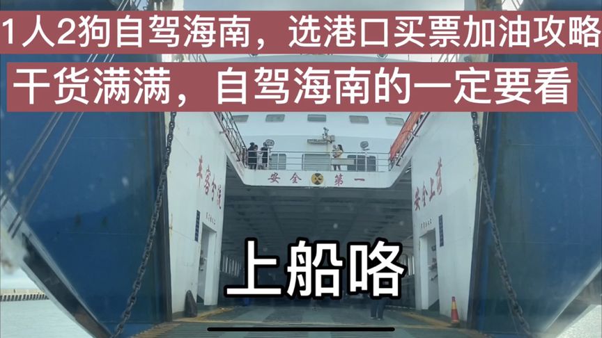 1人2狗自驾海南轮渡过海攻略,干货满满,想自驾来海南一定要看