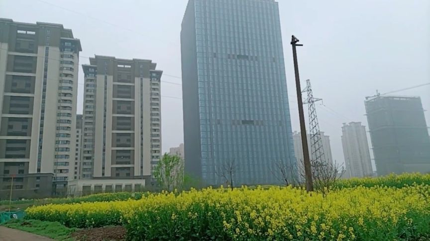 失去了家园变成石头森林,这就是发展.