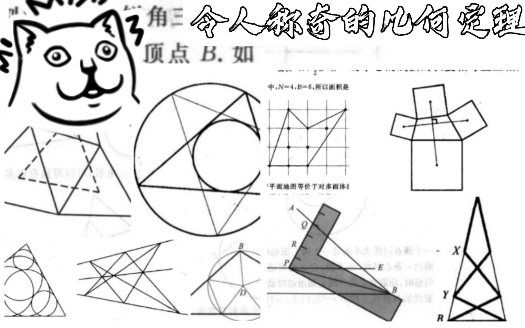 【几何瑰宝】那些奇妙而有趣的数学定理