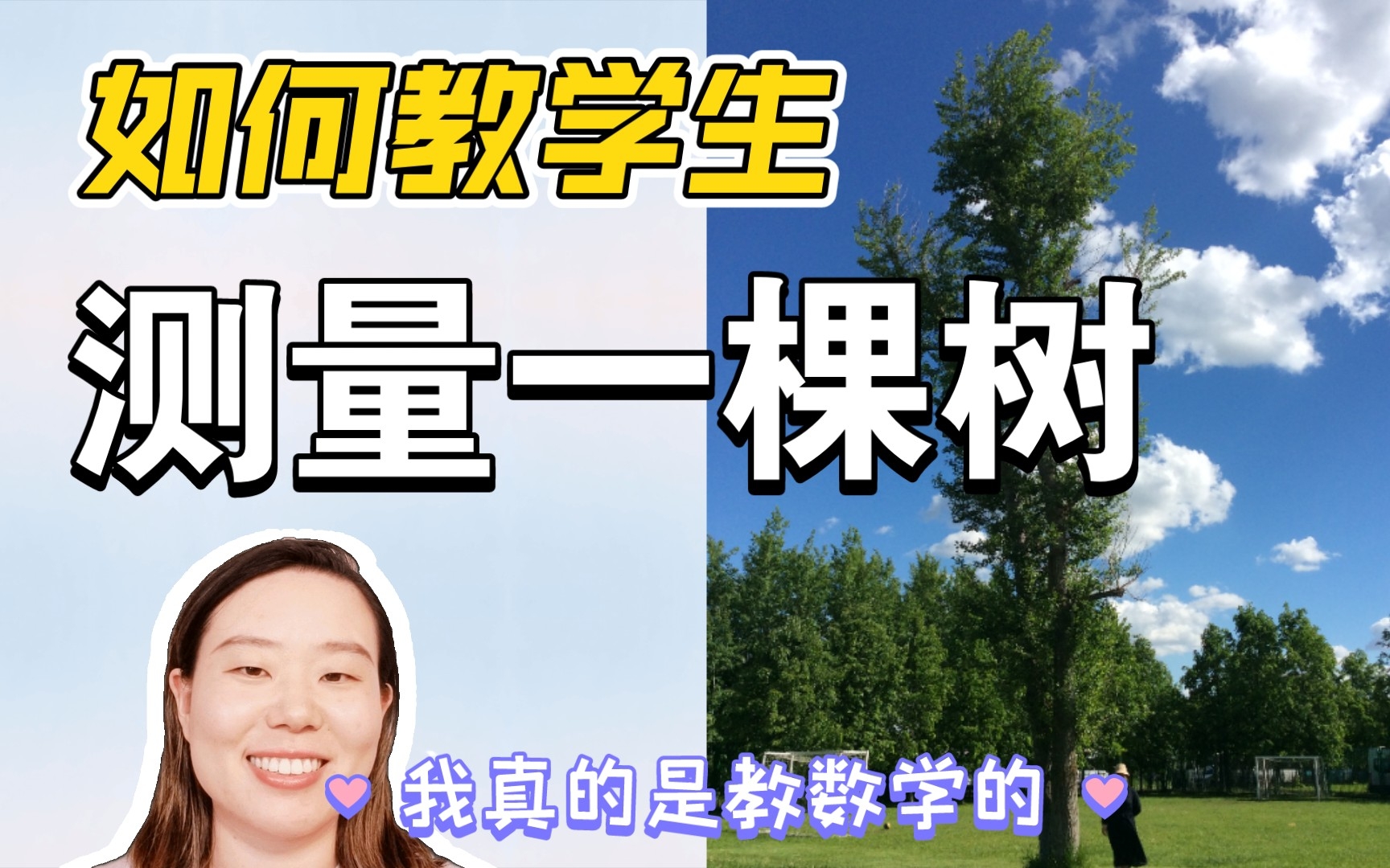 数学项目式学习教学设计分析|国际学校|如何测量一棵树