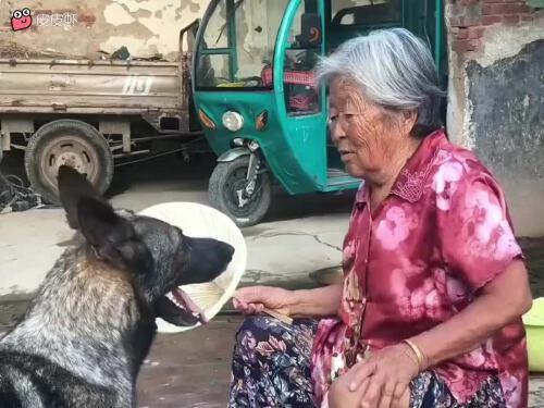 你是否觉得你老公有时候还不如一条狗。点赞关注不迷路主页更精彩