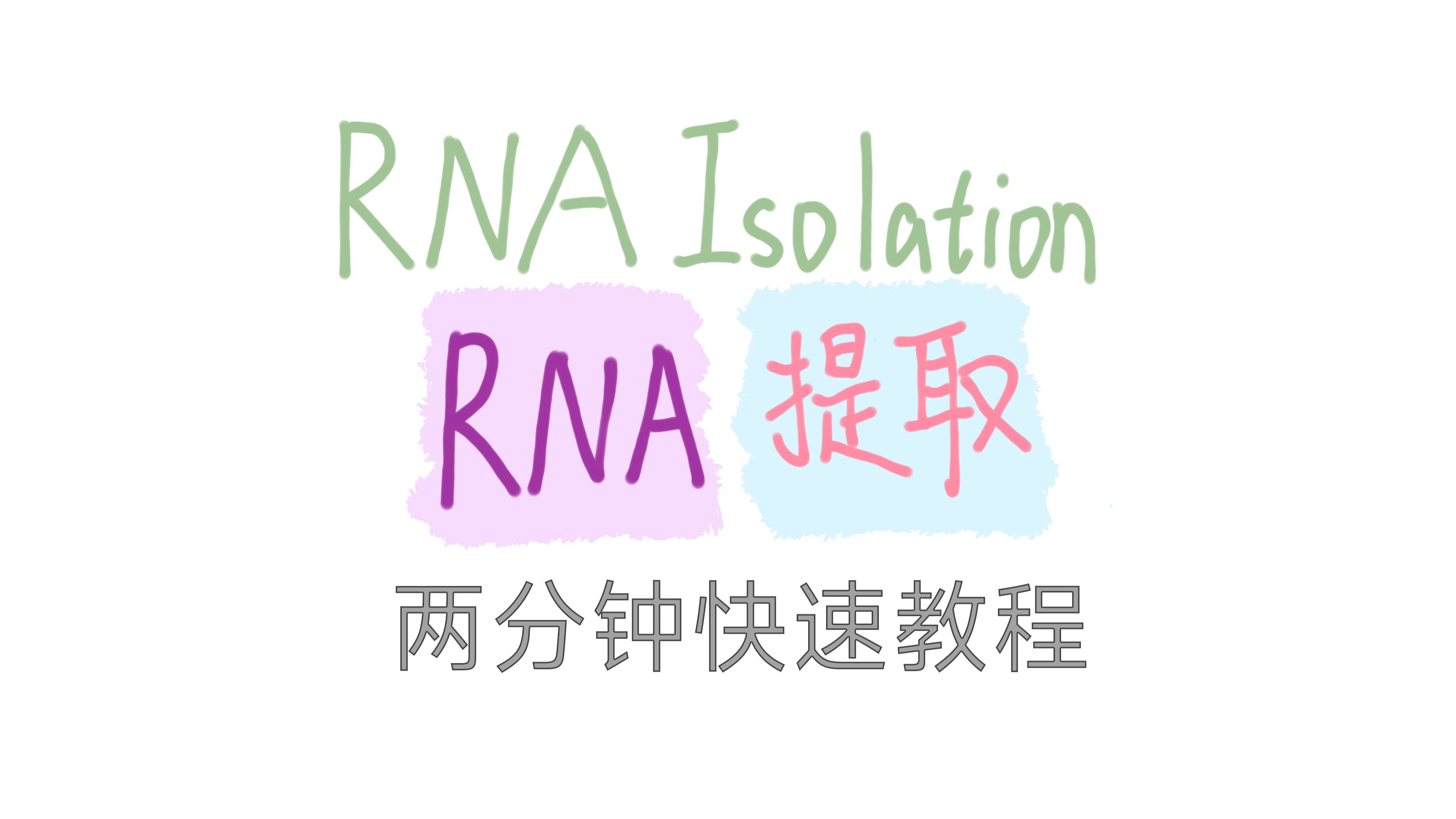 转录系列 RNA Isolation实验 两分钟快速教程