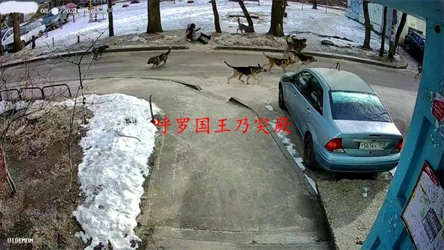 每天看一看日常意外事故实例,助你提高安全意识 2021.10.25