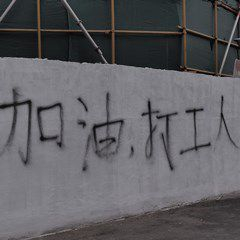 天天向上_906131468 