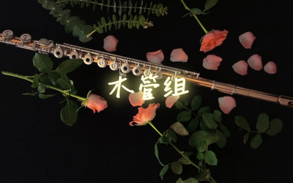 视唱练耳|音乐鉴赏|乐器鉴赏|木管组
