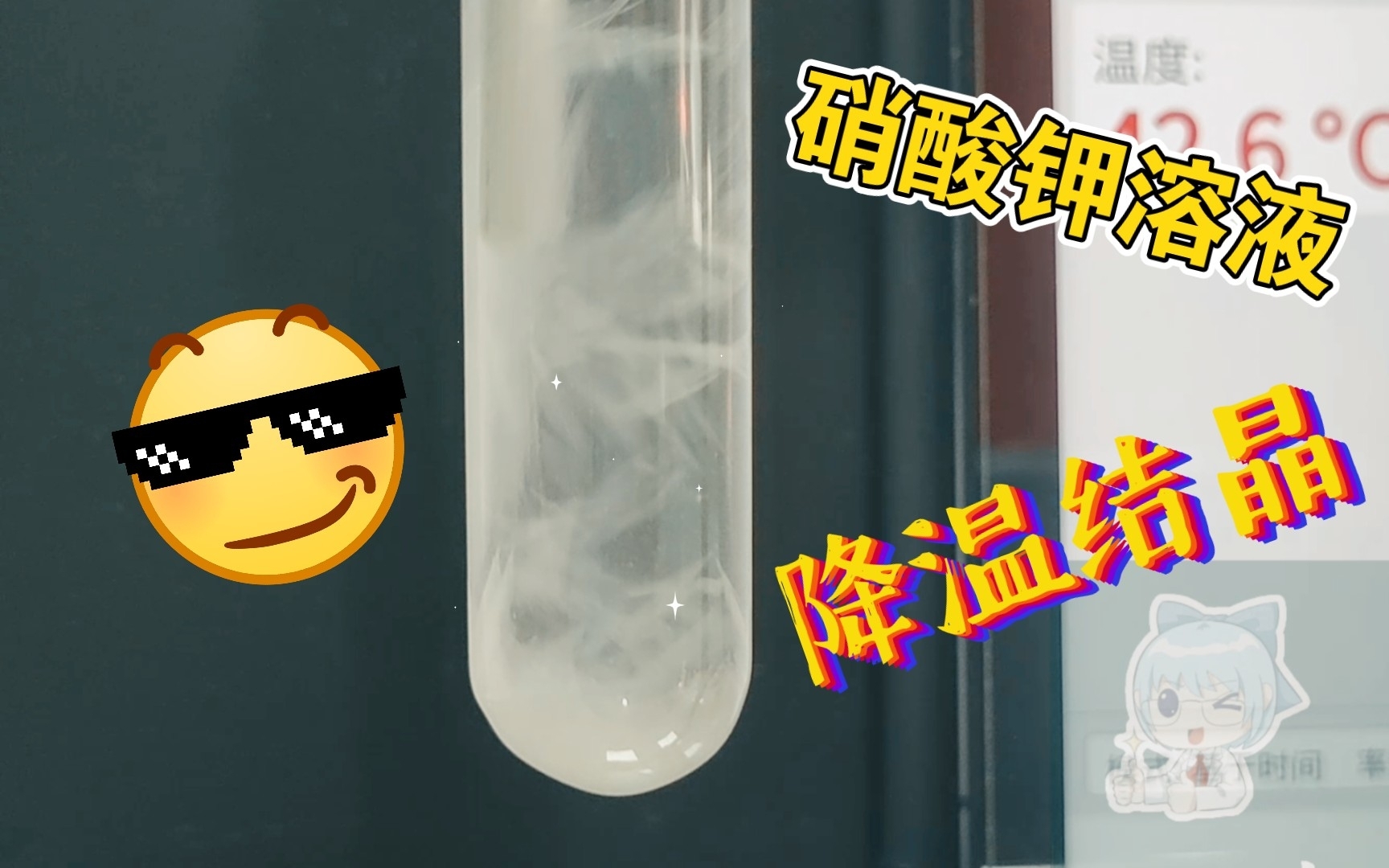 硝酸钾溶液的降温结晶【泠月老师】