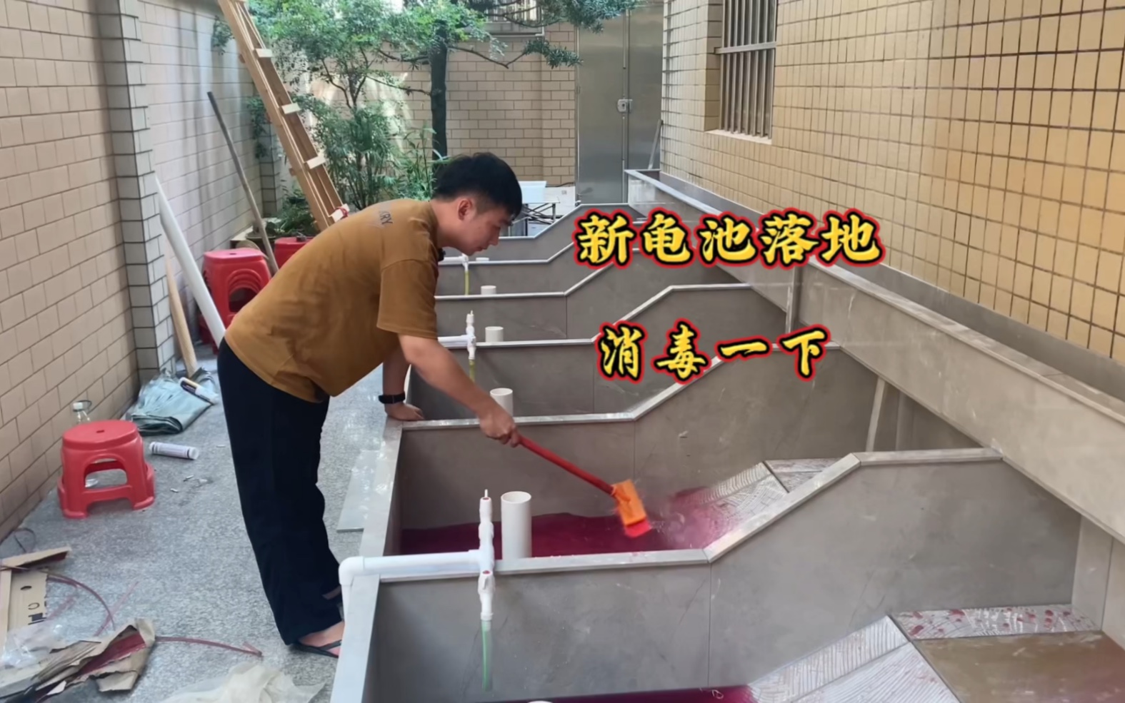 新龟池完工消毒放龟