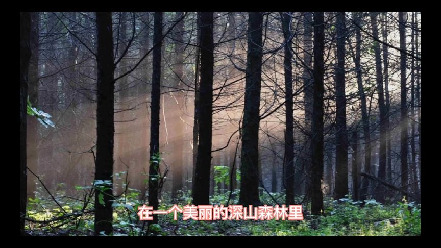 一年一度的森林动物赛跑运动会开始了,骄傲的赛跑冠军豹子后悔了