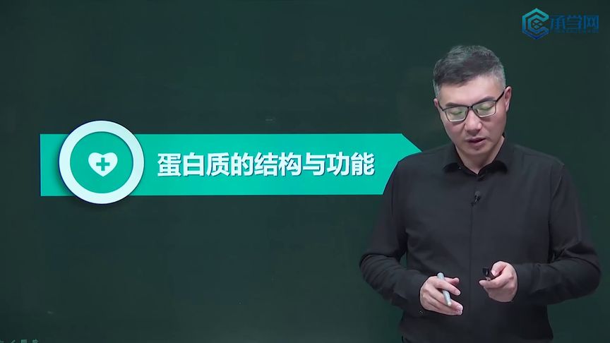 2021研究生考试西综-蛋白质的结构与功能