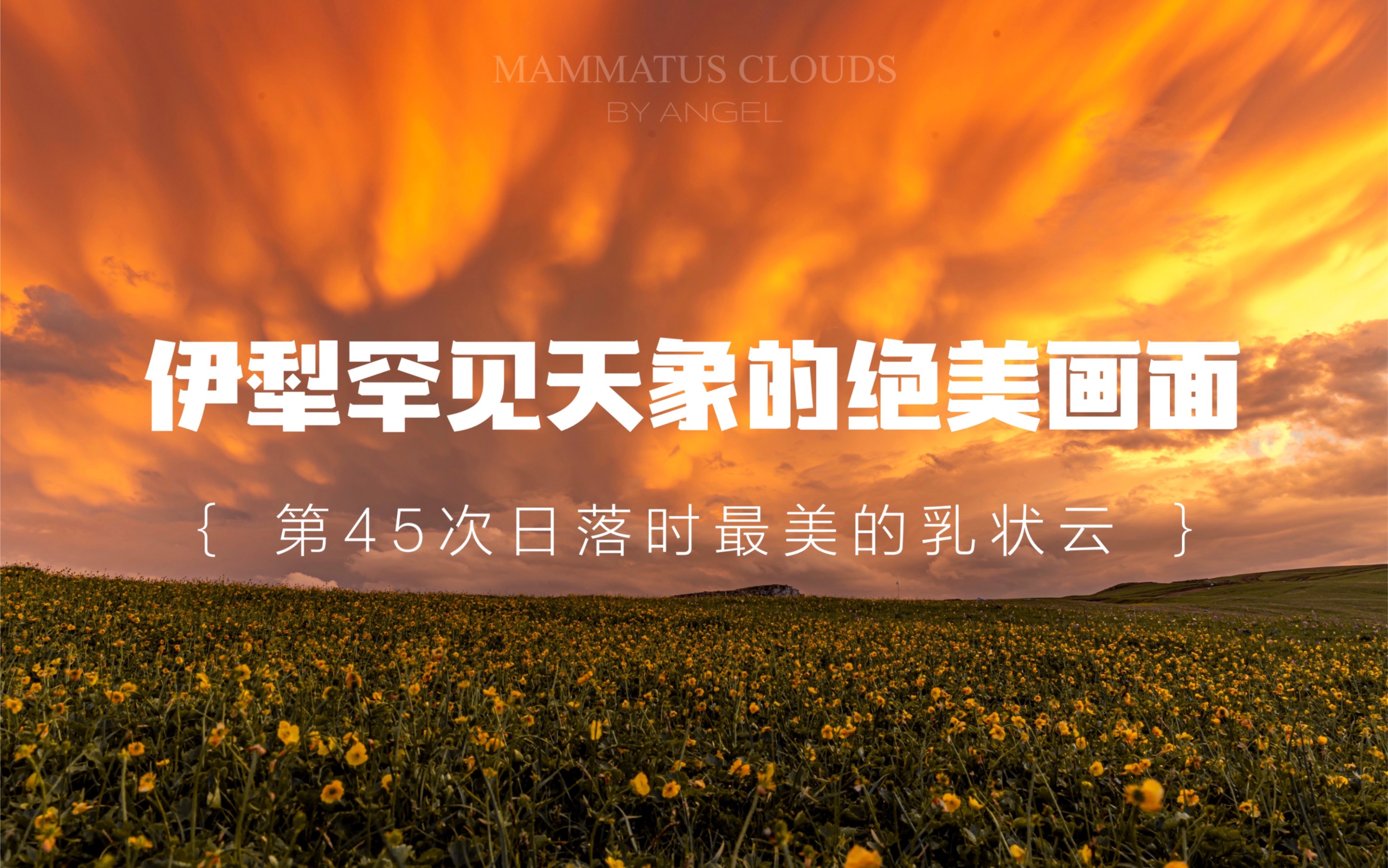 “我在伊犁河谷花海追逐雷暴,却遇见超罕见天象奇观火烧乳状云”