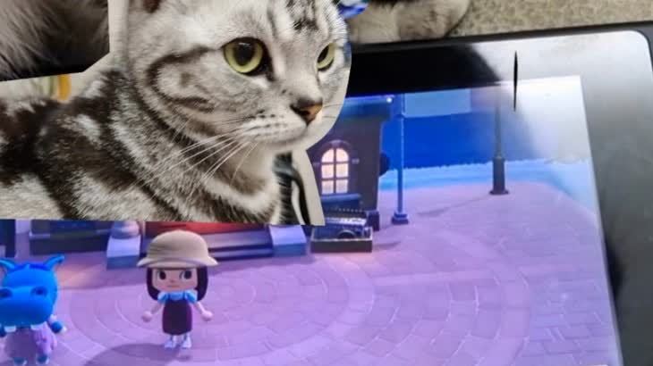 对动物有着别样吸引力的动物森友会