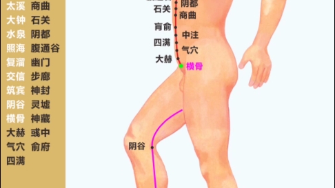 12经络+任督二脉动画