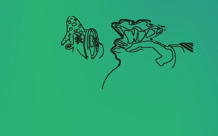 个体户需要缴税吗?