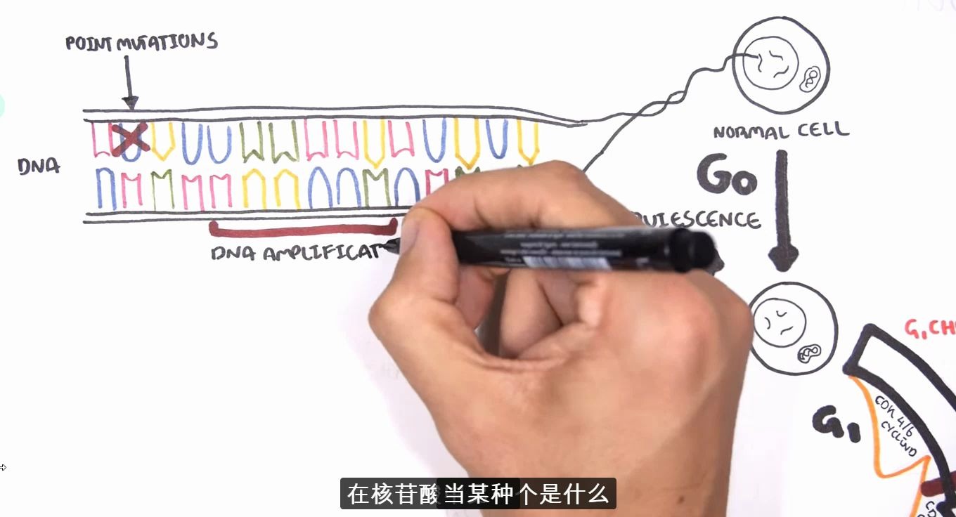 致癌基因-癌症的机制(抑癌基因和致癌基因)