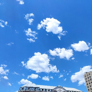 千里不睡觉的猪猪雀雀 