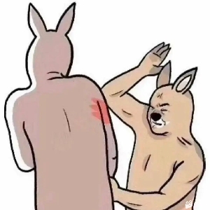 不会俄挺的笨蛋