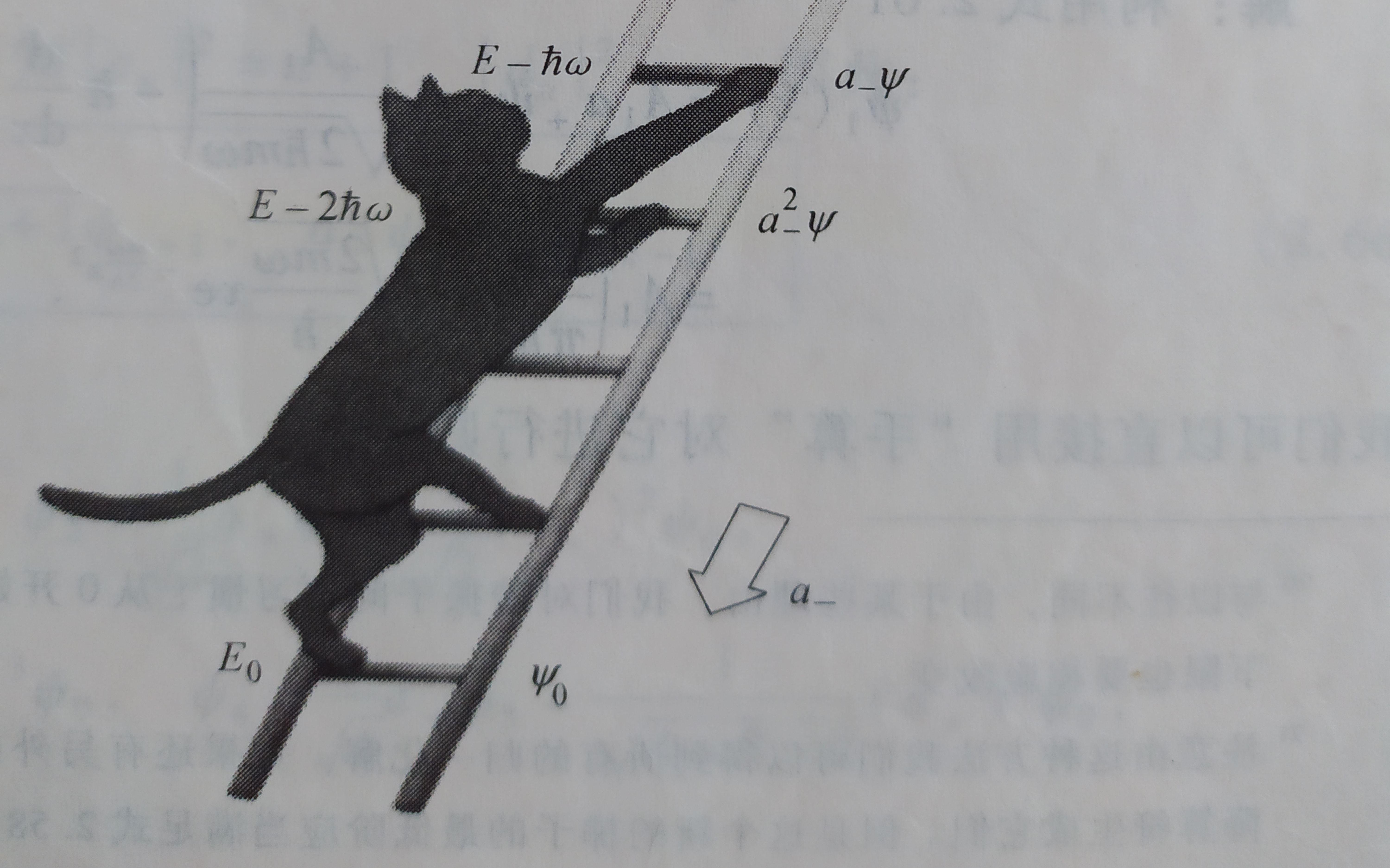 【量子力学习题剖析】谐振子代数解本征函数及数学性质分析