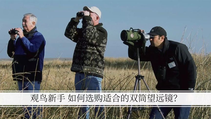 观鸟新手如何选购合适的双筒望远镜