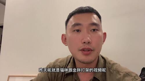 分析打架的原因,金胖和猫咪都没有错,只是出于本能的保护自己