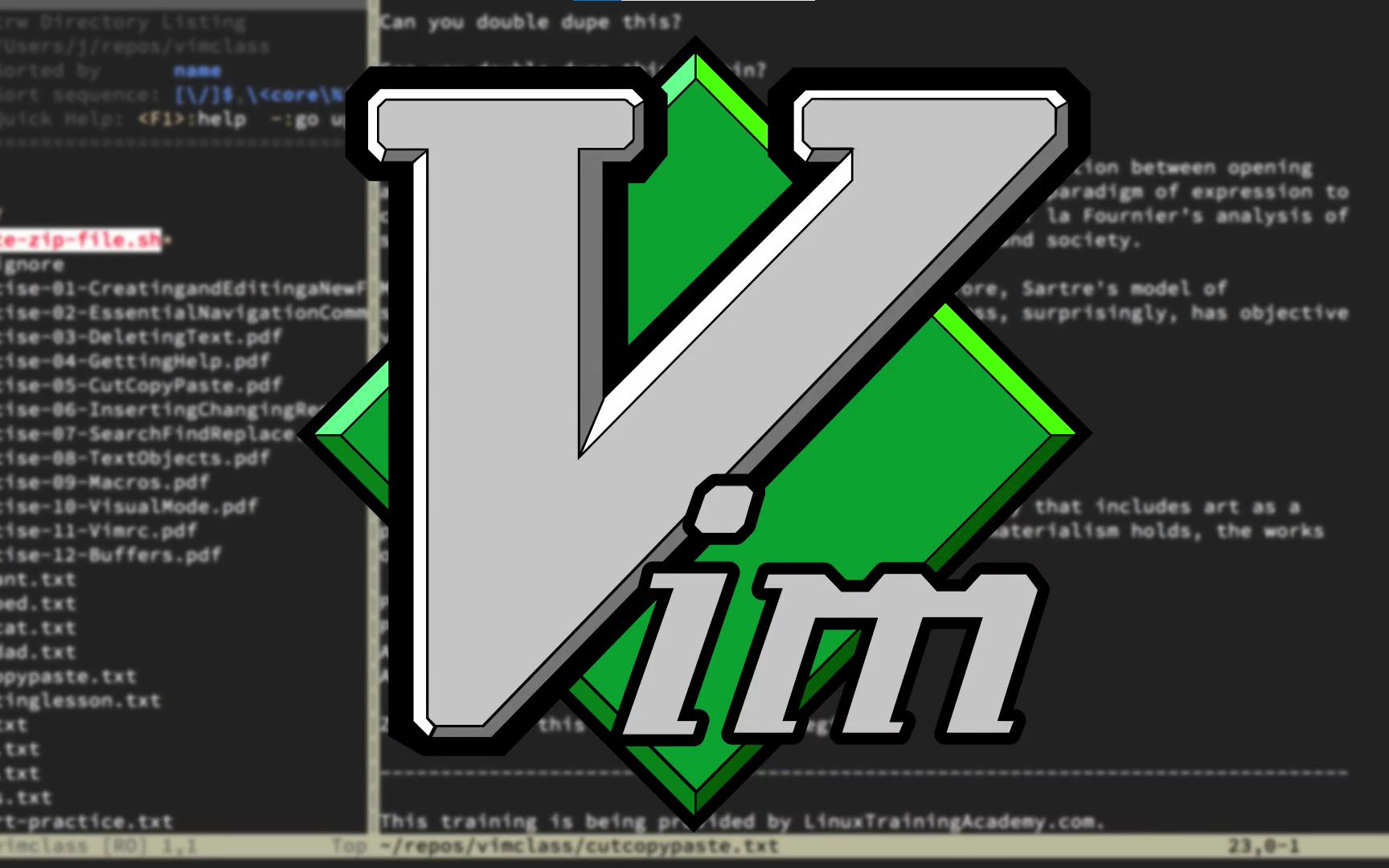 【熟肉】Vim教程(从15p开始,更新中。)