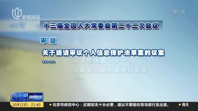 十三届全国人大常委会第二十二次会议明起举行:刑法修正案(十一)草案...