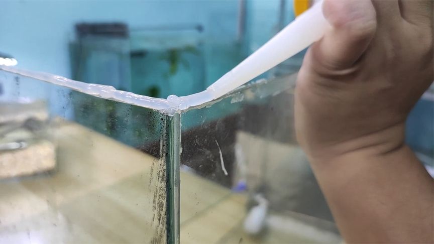 不平整的鱼缸玻璃,还可以用这方式“拯救”下,效果出奇的好