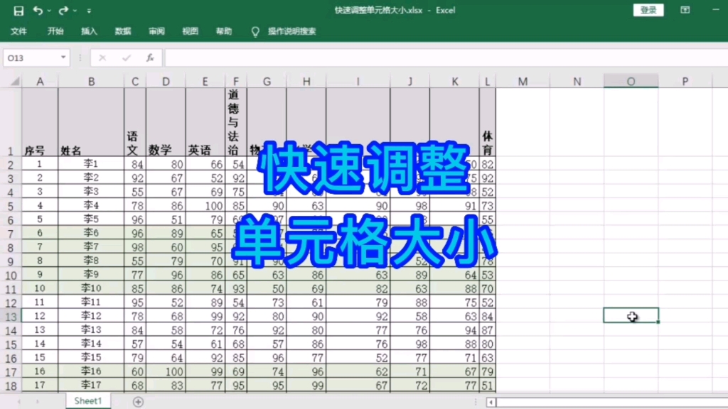 快速调整单元格大小