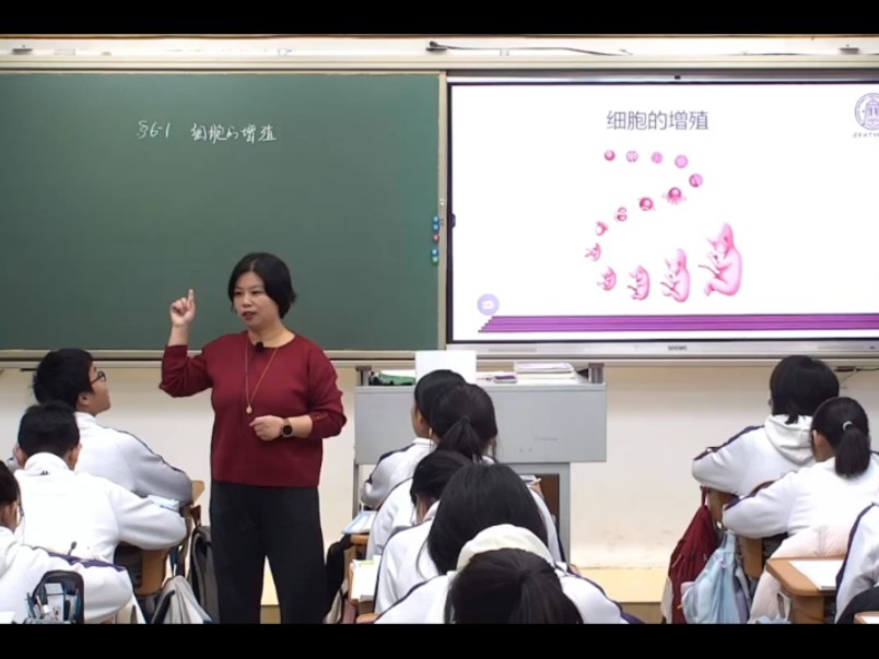 细胞的增殖(高中生物优质公开课)