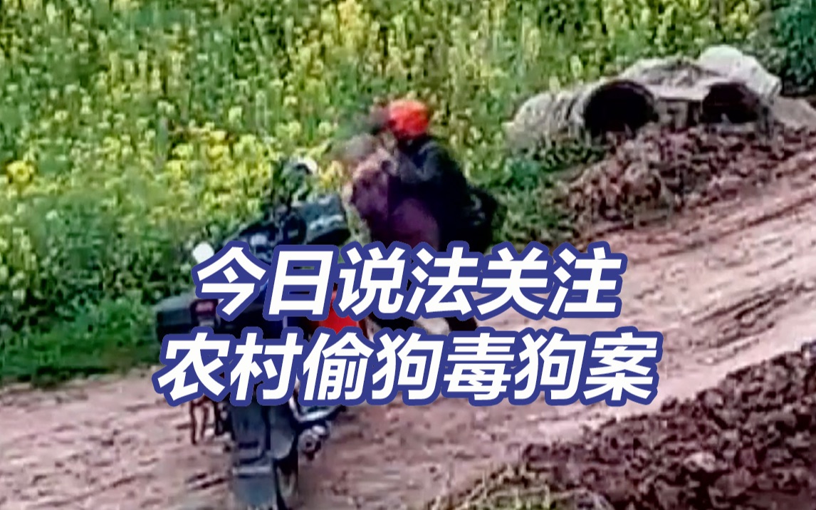 猖獗!用毒弩杀狗、推老人进沟,男子毒狗偷狗又吃又卖获刑