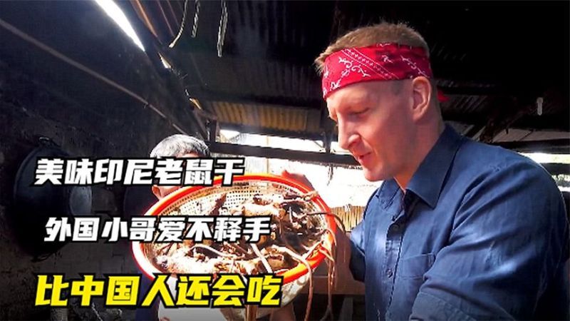 奇异的印尼美食,老鼠被做成佳肴,广东人都吃不下