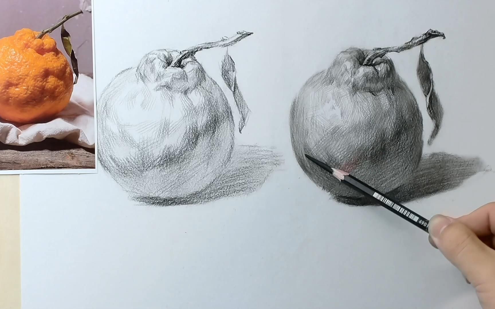 【素描静物】丑橘全因素素描-原速带讲解