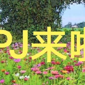 PJ来啦 