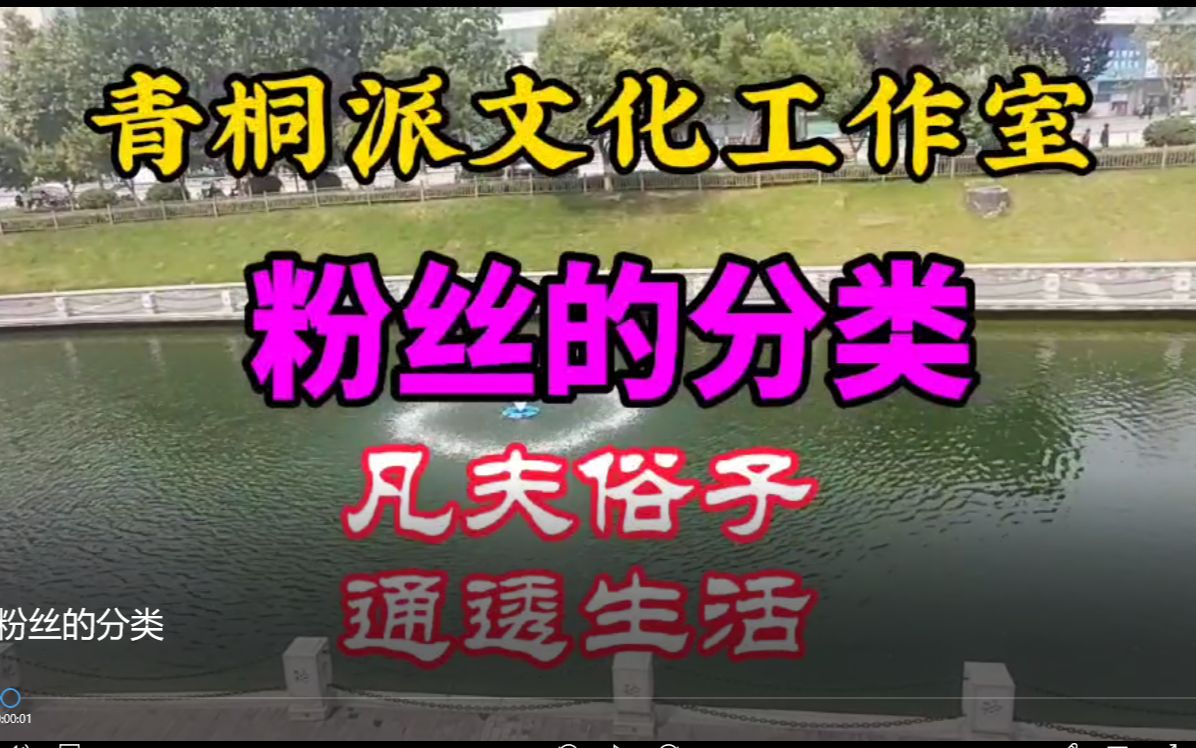 粉丝的分类三六九等,粉丝也有高低贵贱之分。