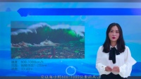 海洋灾害篇:第三节.mp4