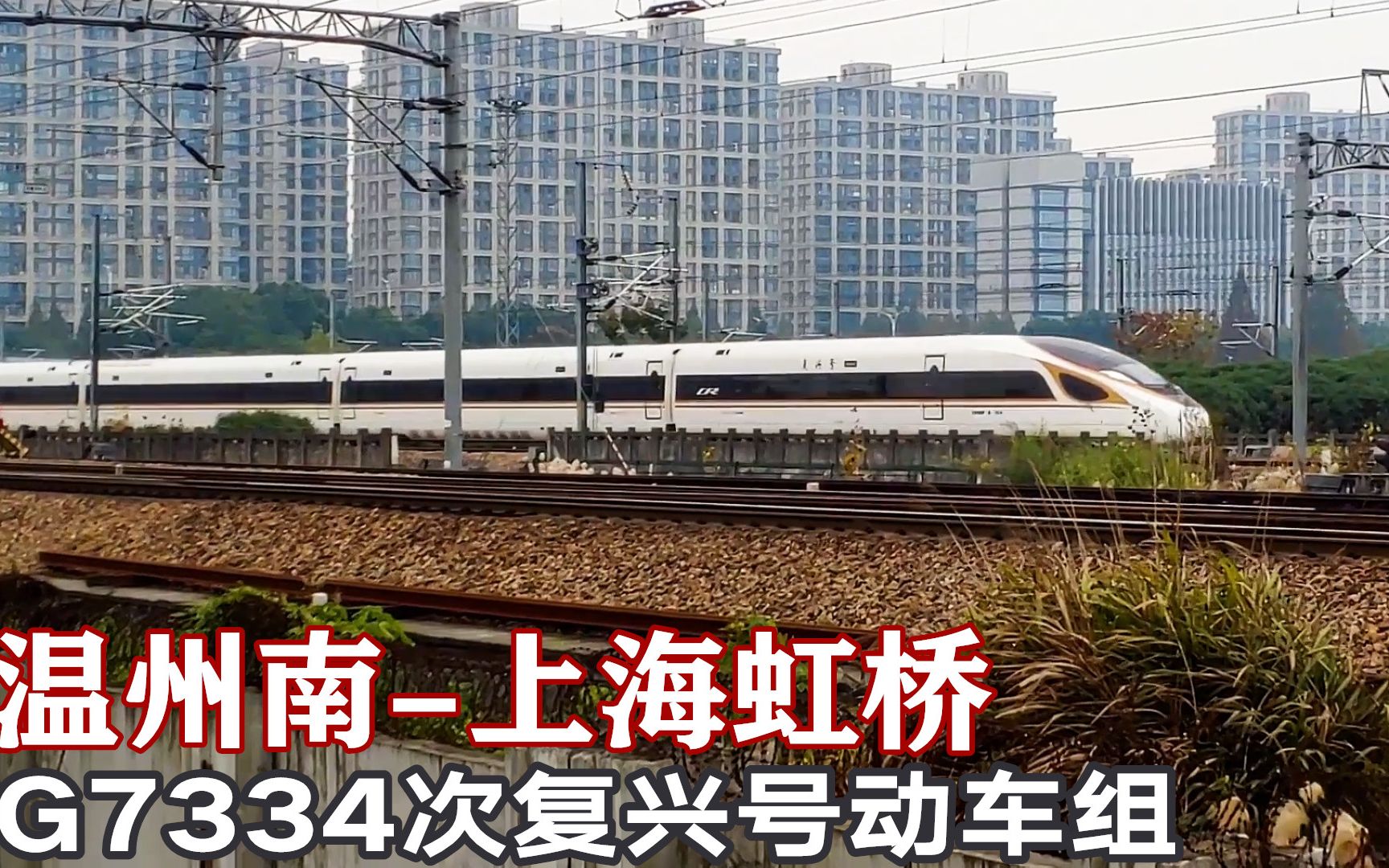温州南至上海虹桥全程不到4小时,G7334次复兴号动车进杭州东站