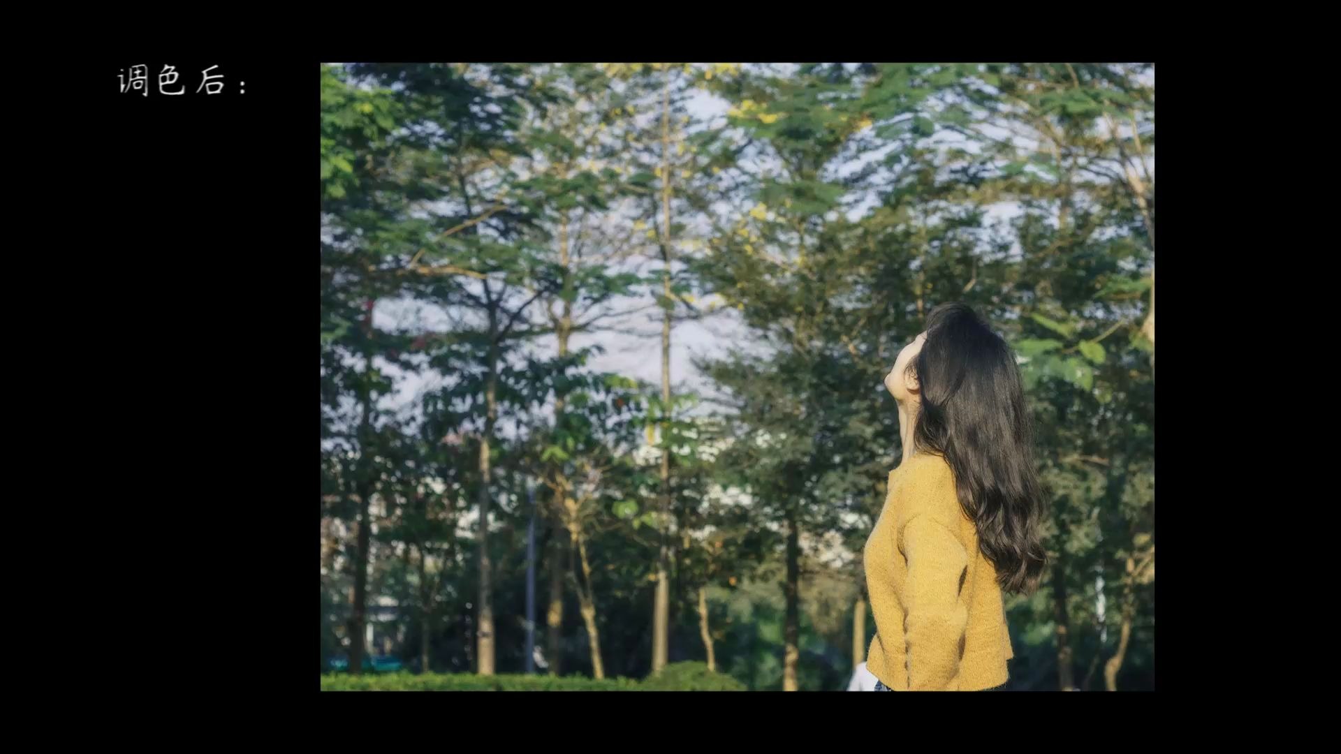 摄 影 日 记 vol.1||“佳能800D能拍出什么照片”