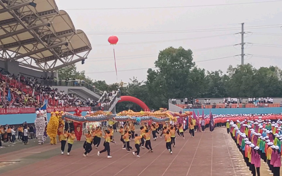 广西师范大学第五十三届田径运动会,开幕式舞龙舞狮表演