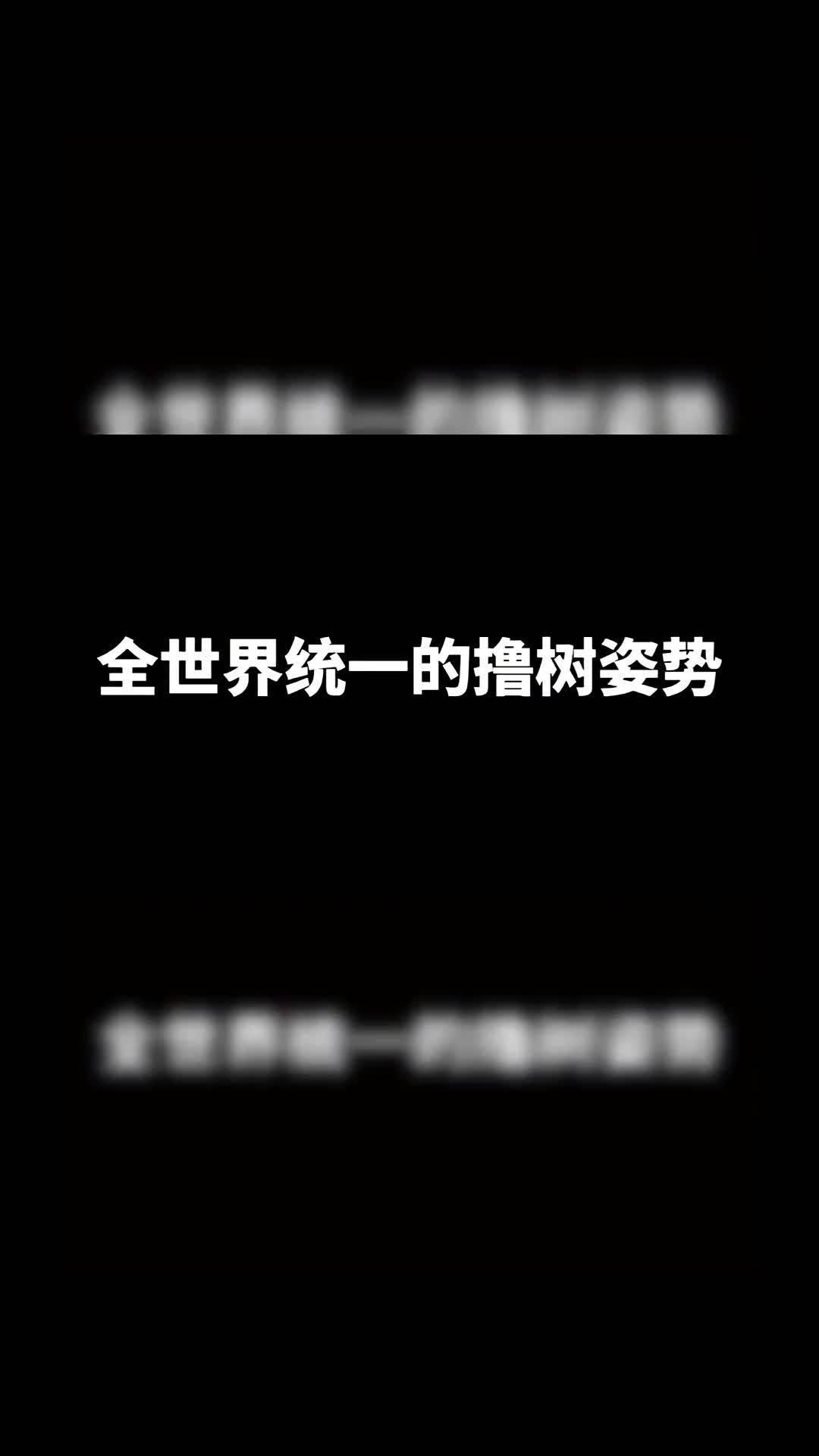 MC真实合理系列,说中你了吗?