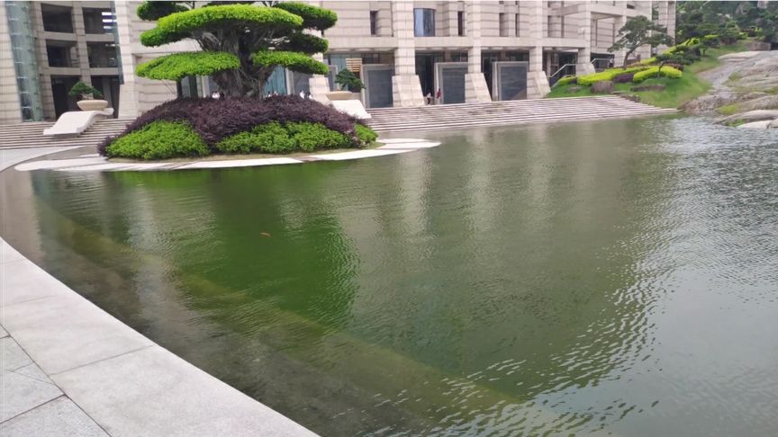 建筑风格挺西方的一所学校!