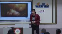 部编青岛版小学科学一年级下册《小动物找妈妈》优质课视频+PPT...