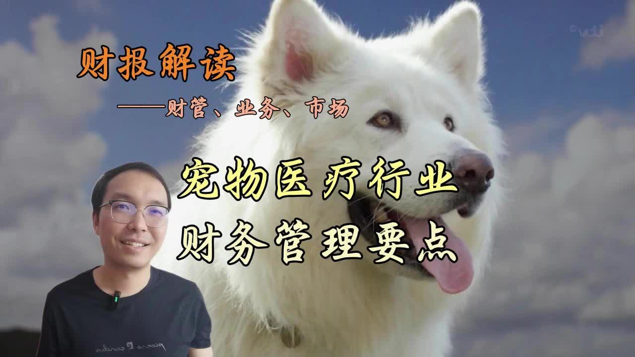 看财报解读宠物医疗行业的财务管理要点 看财报研报,理解宠物医疗...