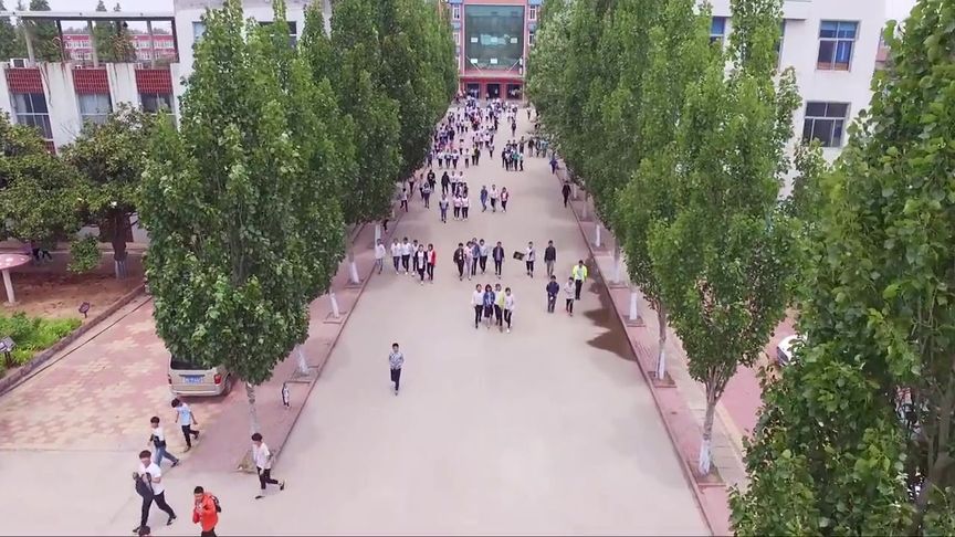 她,无偿心理咨询1000次,做学生的知心姐姐