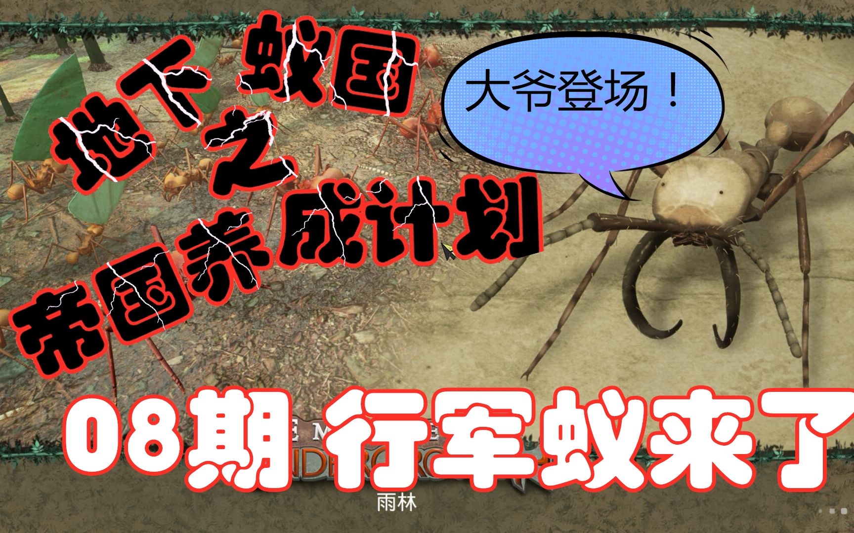 【游戏】08 行军蚁降临:地下蚁国
