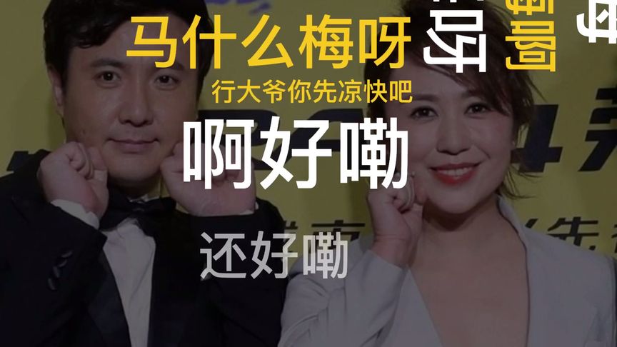 搞笑文字:沈腾觉悟以后去找马冬梅 结果遇到大爷 爆笑段子 哈哈