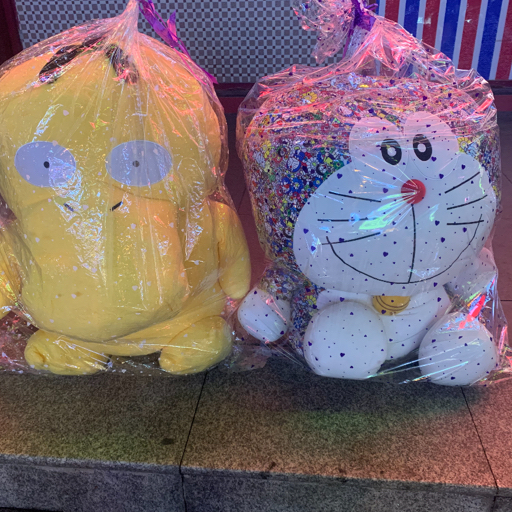 你最爱的宝哥哥 