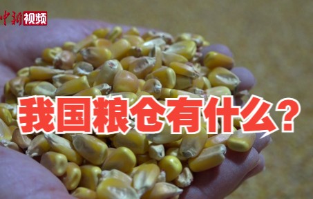 探访“大国粮仓”:粮食入住“智能空调房” 舒适过四季