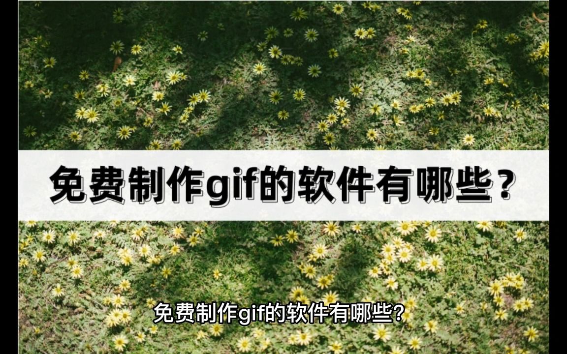 免费制作gif的软件有哪些?介绍三个好用软件!