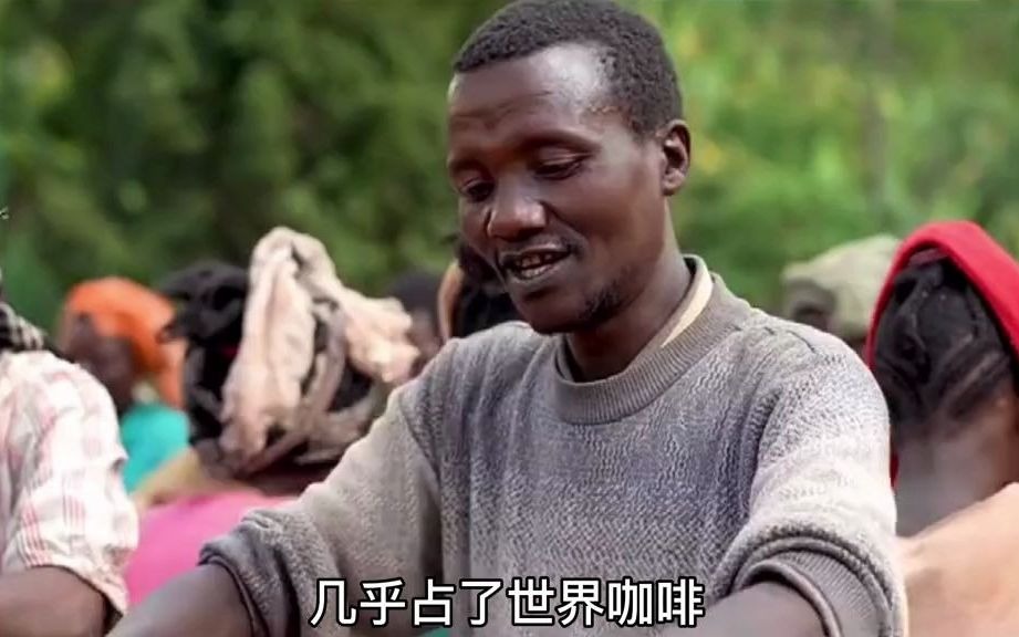【咖啡制作】了解一下咖啡种类